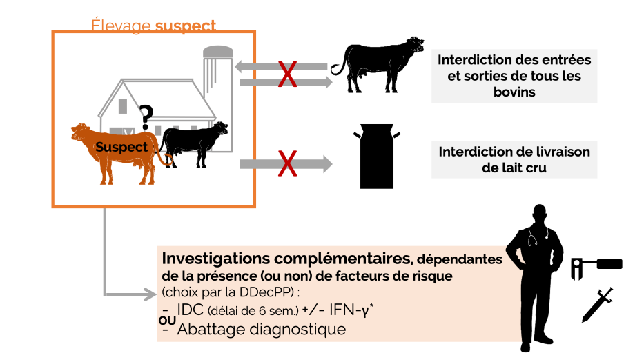 Mesures offensives [La tuberculose animale à M. bovis]